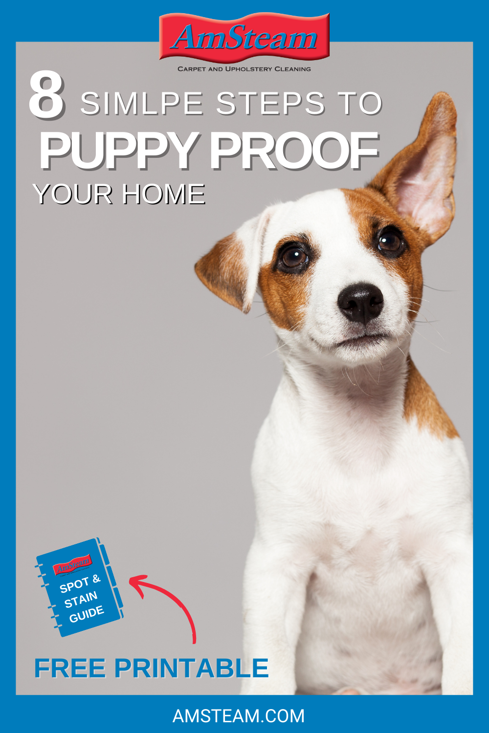 8 Simple Steps to Puppy Proof Your Home / AmSteam Edmonton