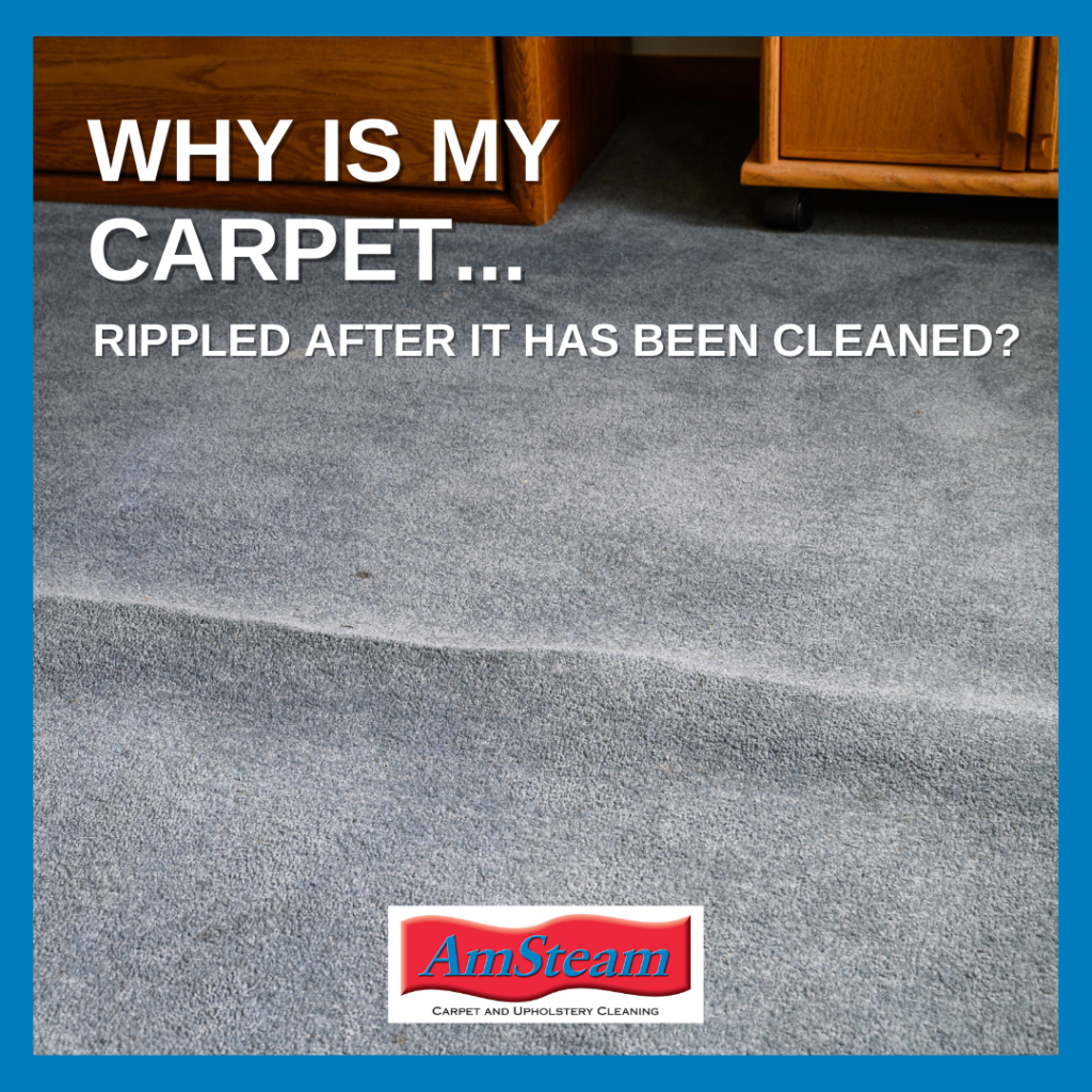 Why is My Carpet Rippled After It’s Been Cleaned? /AmSteam
