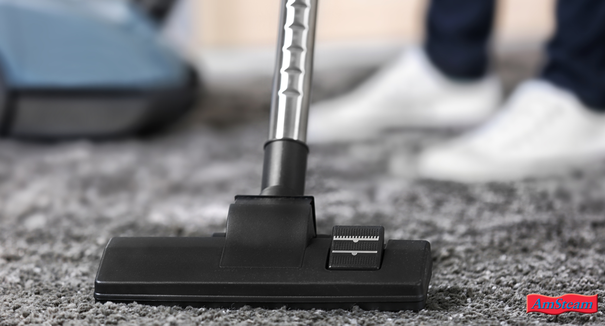 Carpet Care 101: A Comprehensive Guide to Carpet Cleaning - Edmonton ...