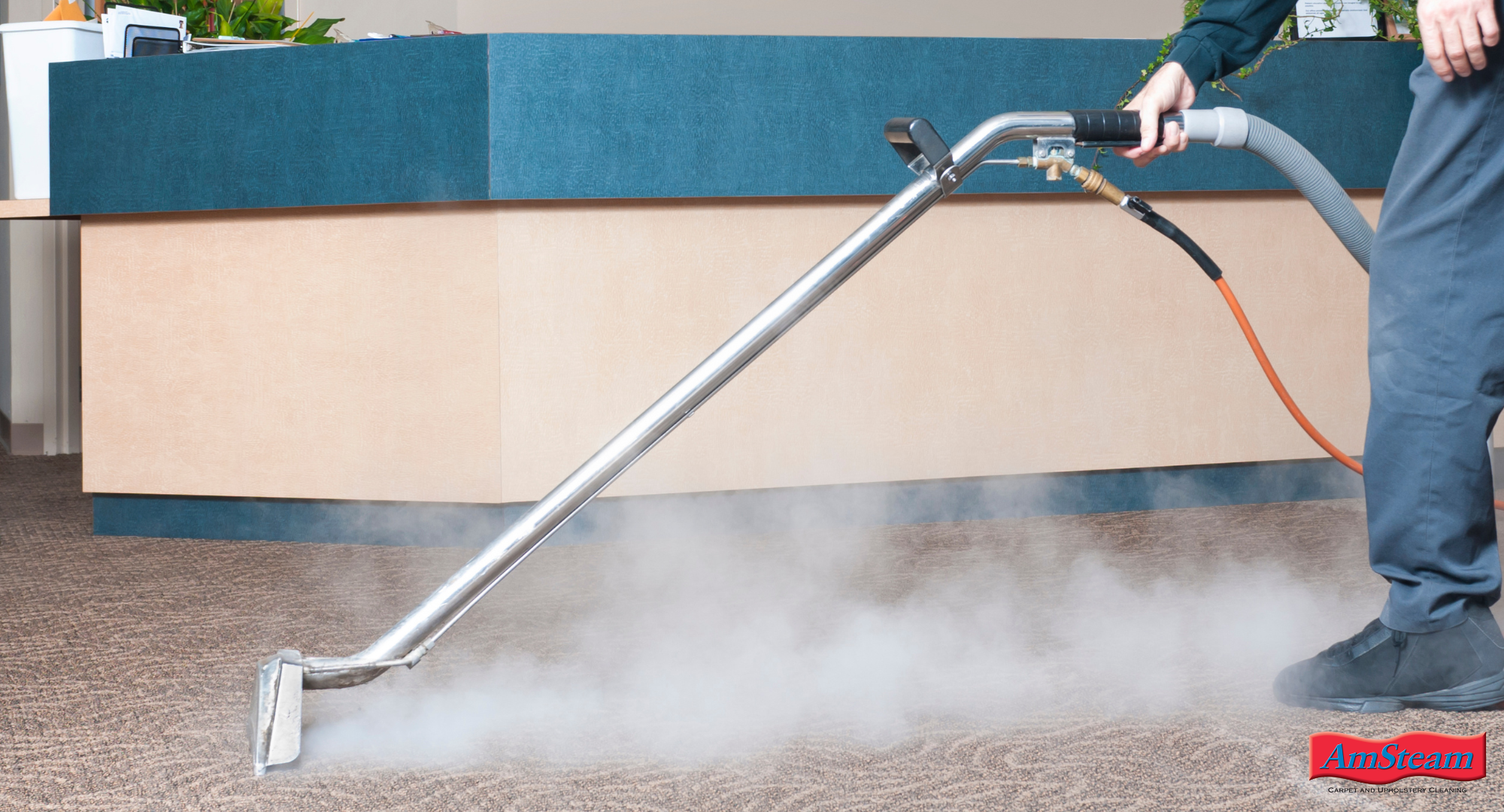 Carpet Care 101: A Comprehensive Guide to Carpet Cleaning - Edmonton ...